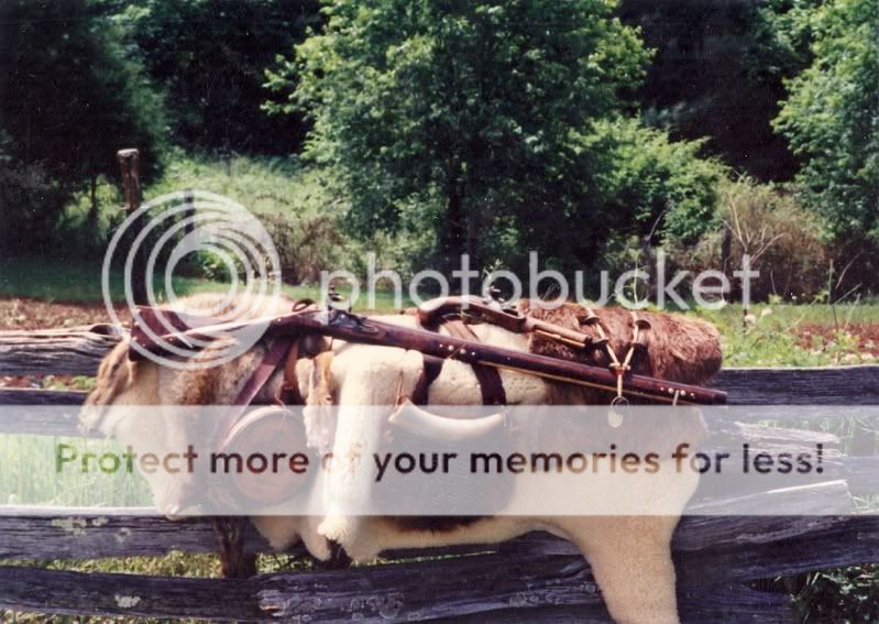 Chief's Grade Trade Gun