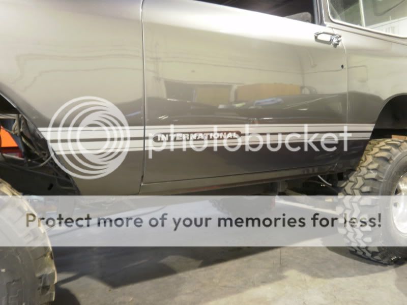 New stripe for anything IH! | BinderPlanet.com