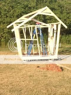 Wacky crooked coop | BackYard Chickens - Learn How to Raise Chickens